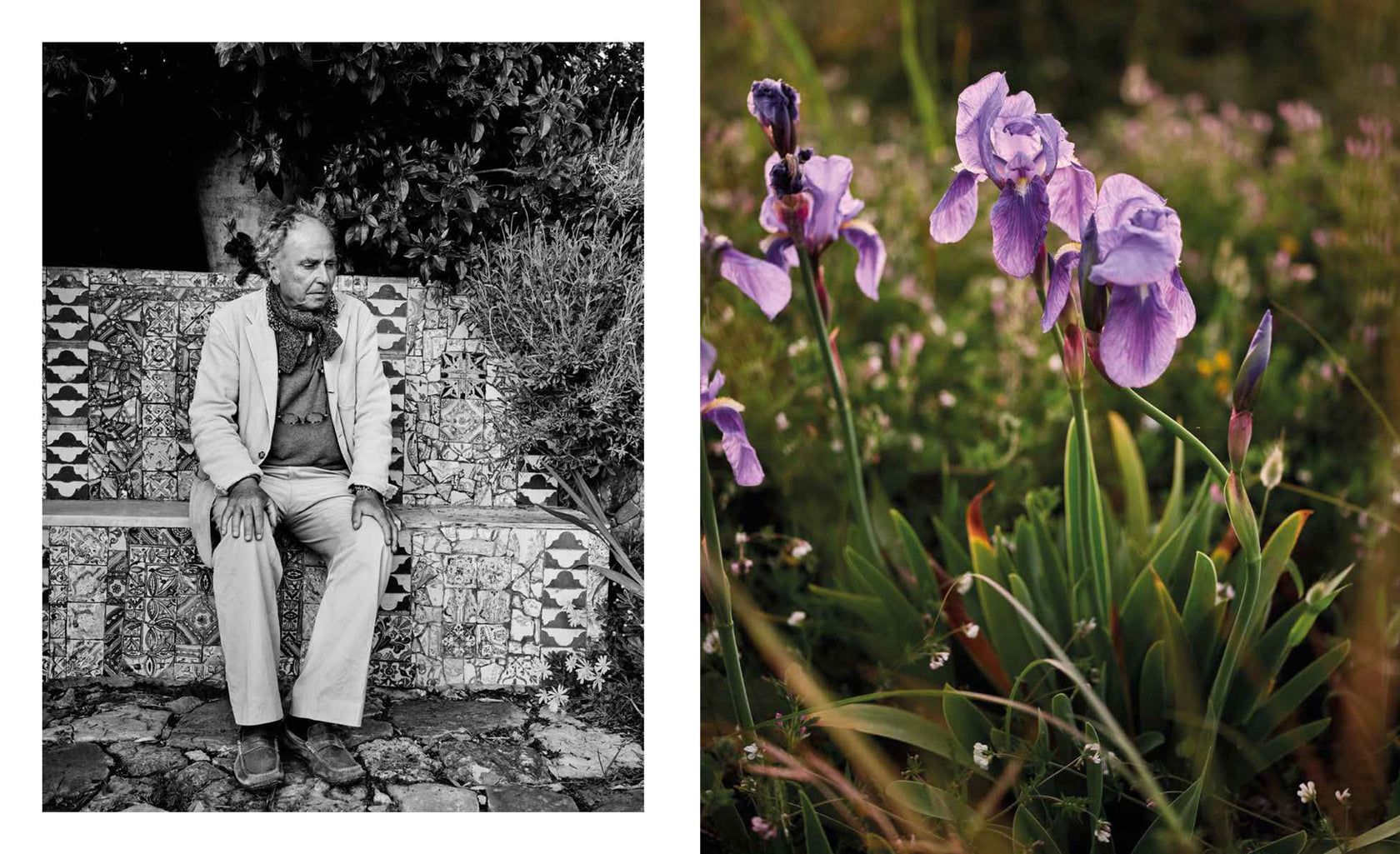 Montgomery Press store