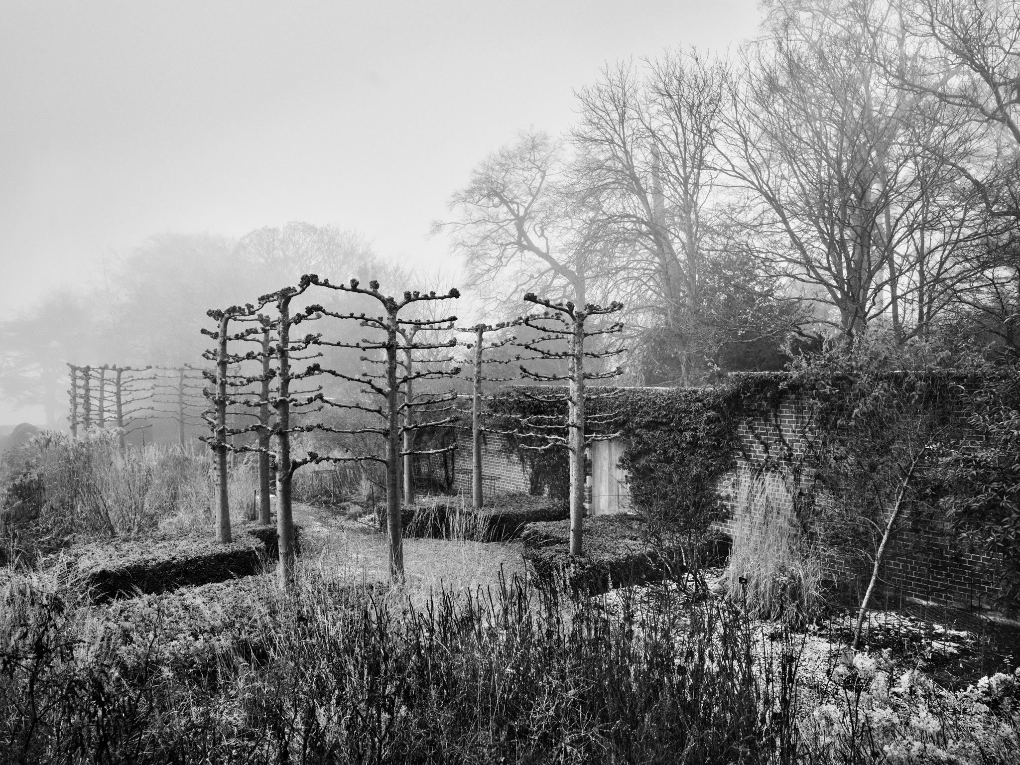 Montgomery Press store